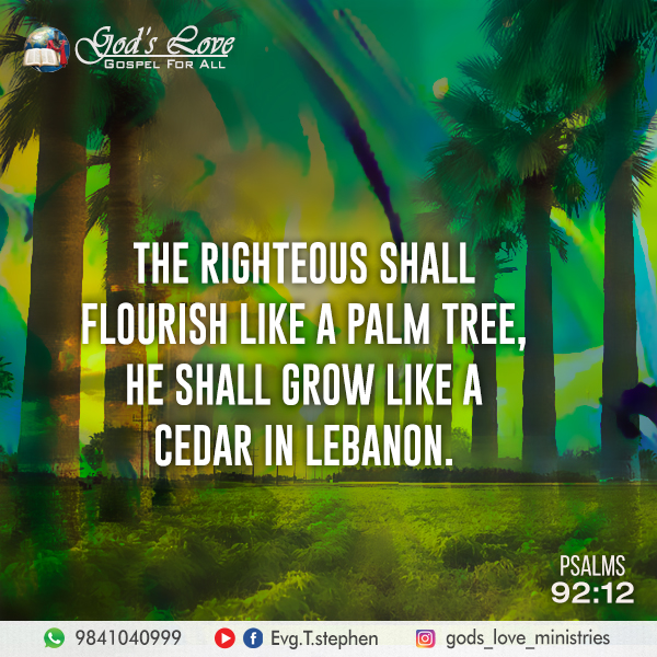 Psalms 92 12 God s Love Ministries Today s Promise