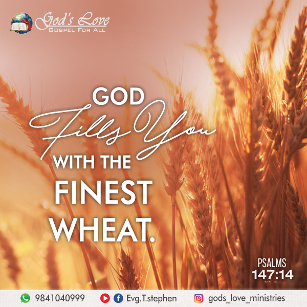 Psalms 147 14 God s Love Ministries Today s Promise Psalms 147 14 God s Love Ministries Today s Promise